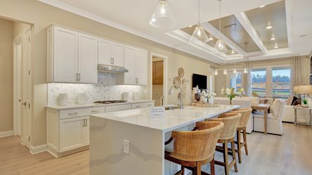 Spring Haven Move-In-Ready