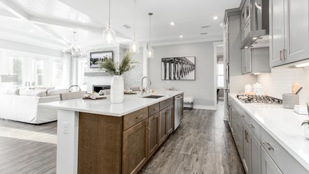 Marco Model | NatureWalk at Watersound Origins