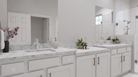 Watersound Florida Homes for Sale | NatureWalk at Watersound Origins