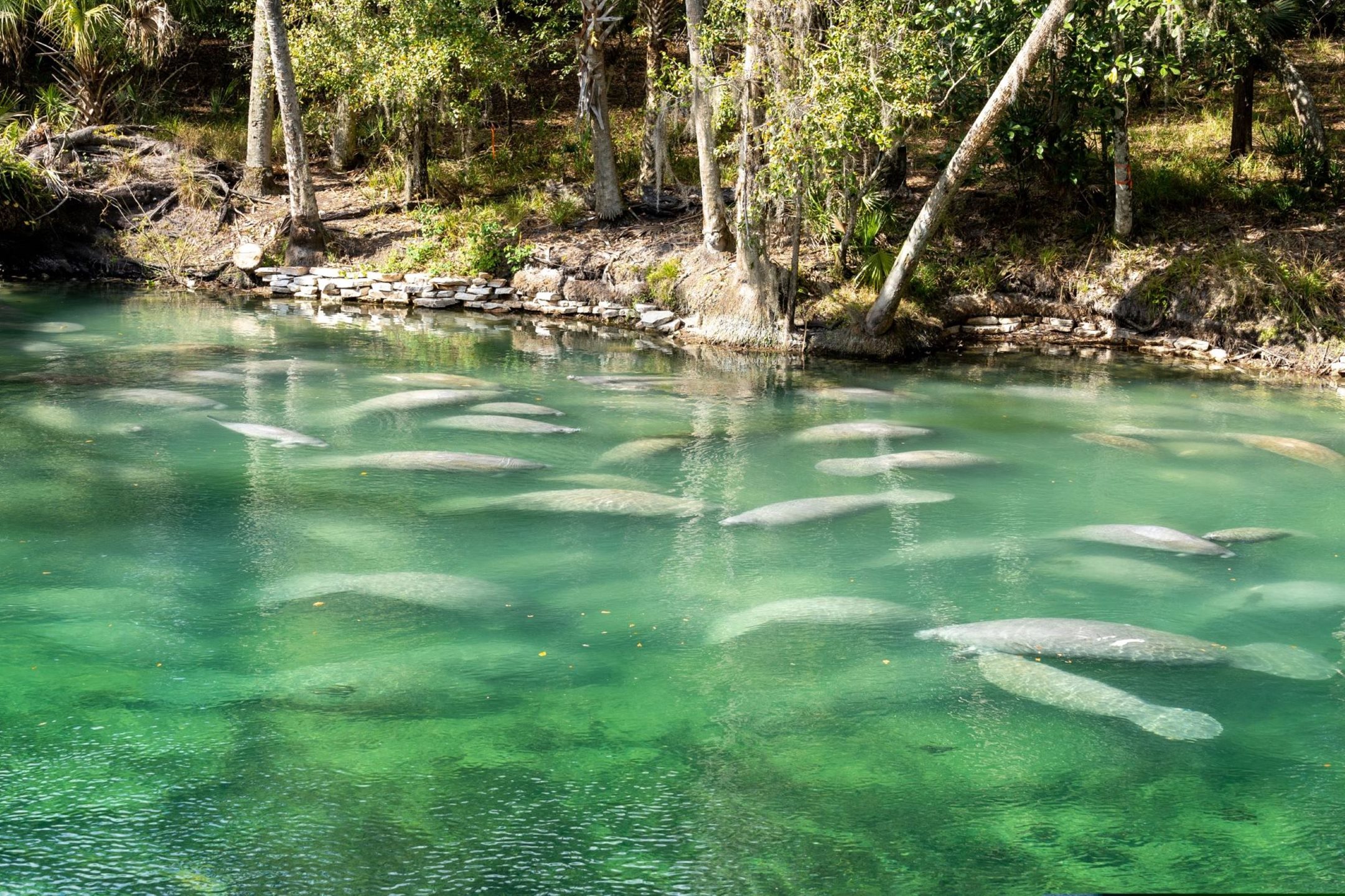 Discover the Charm of DeLand, Florida